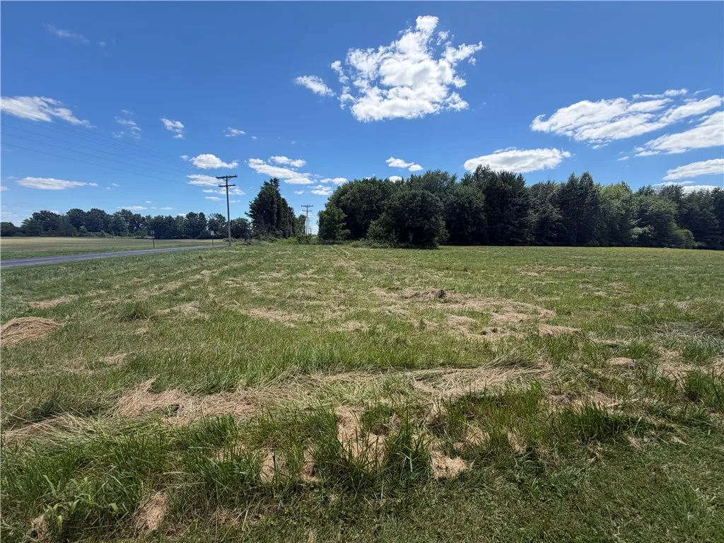 10156 N 800th Street Robinson IL 62454 MLS #6259248 – Carol and Company