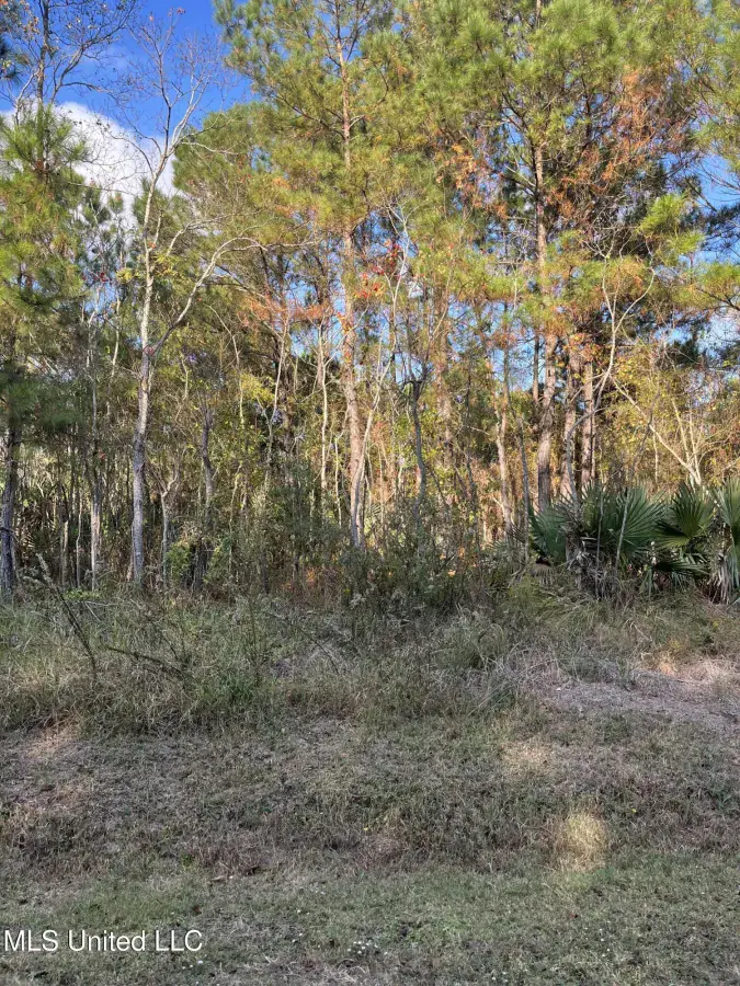 Marigold St. Street Bay Saint Louis MS 39520 MLS #4132212